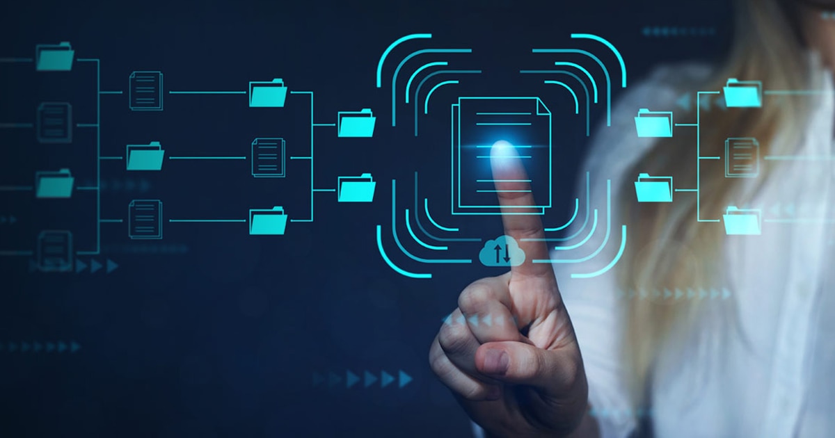 Ultrasound Reporting | GE HealthCare (United Kingdom)